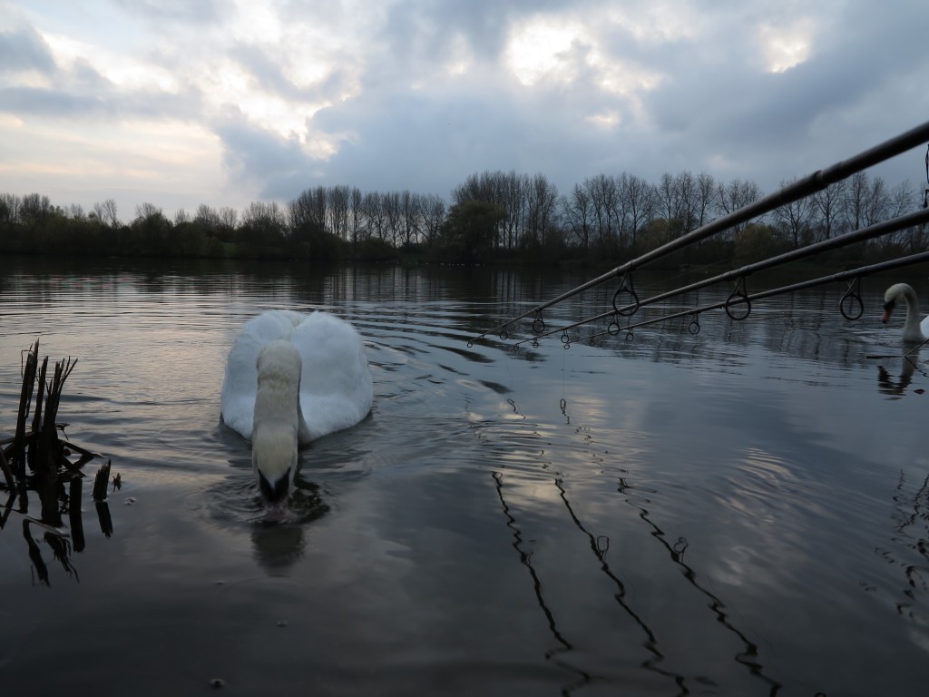On the manor – Linear fisheries